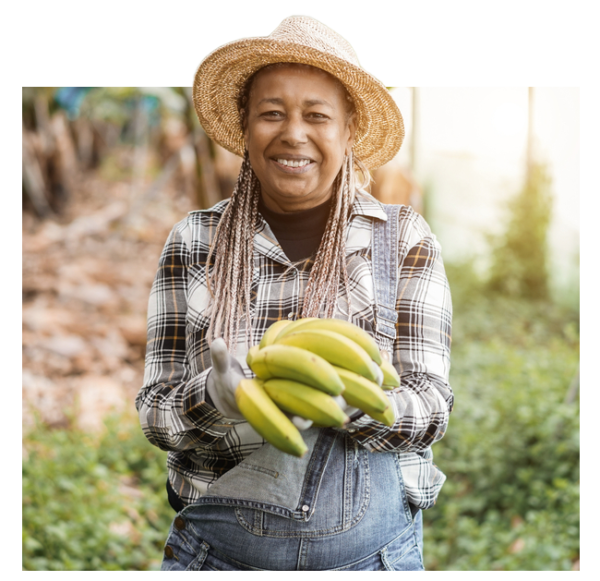 The Barbados Agricultural Development and Marketing Corporation
